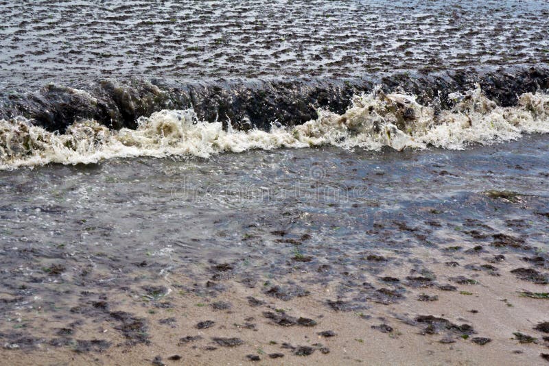 Black Sea stock image. Image of kelp, natural, bubbles - 23557533