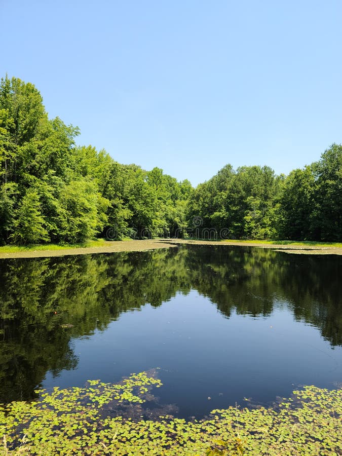 Black water pond stock photo. Image of pond, outdoors - 189247326