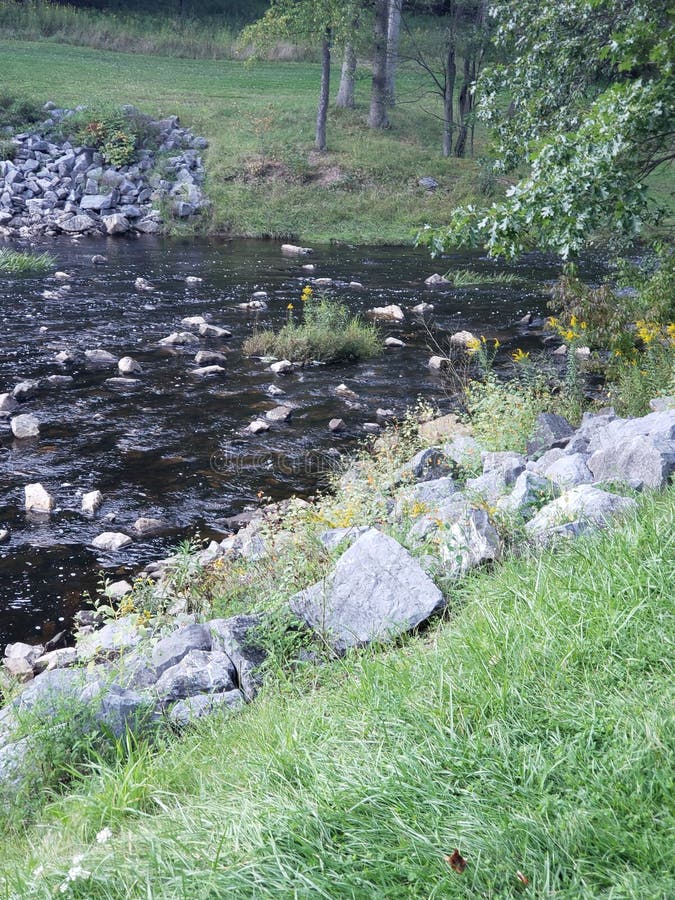 Black water rock trees stock image. Image of river, rock - 238757851