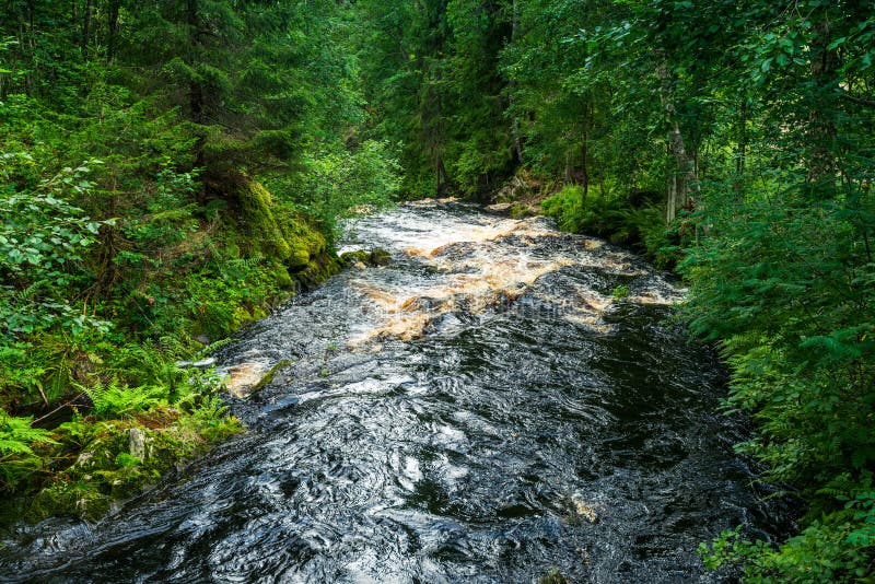 Black Water of a Stormy River in the Taiga Stock Photo - Image of ...