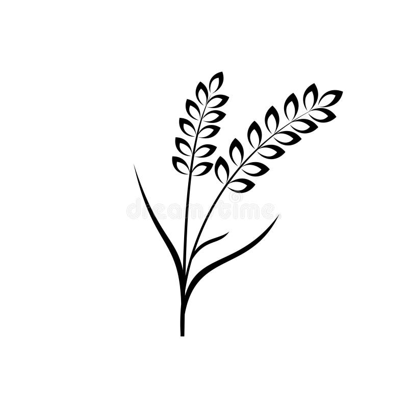 Black Wheat Logo