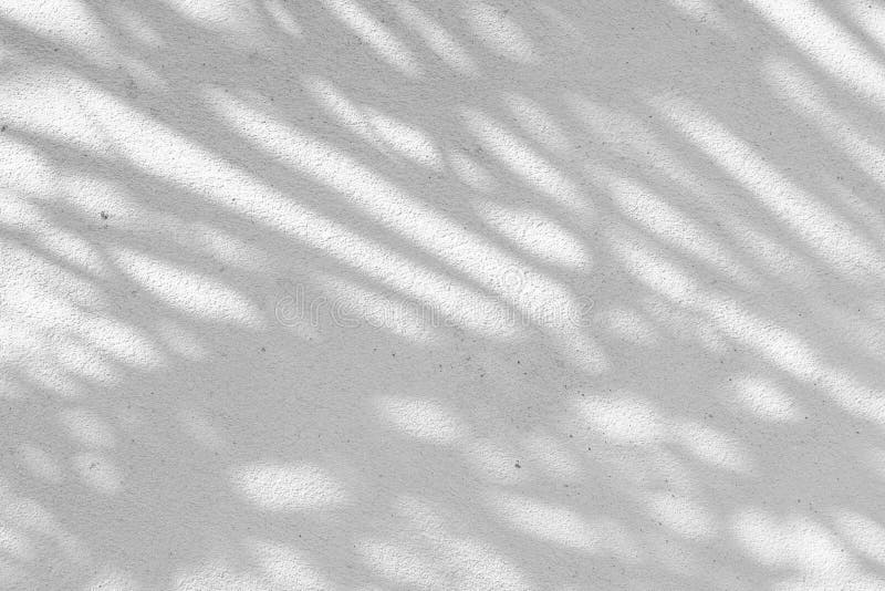 Black and White Abstract Background Texture of Shadows Leaf on a ...