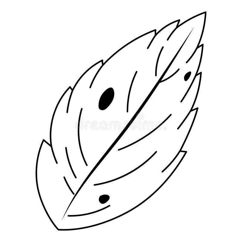 Black and White Abstract Leaf with Simple Line Details Vector Stock ...