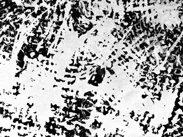 Black and White Abstract Texture Highlighting Random Patterns and Marks ...