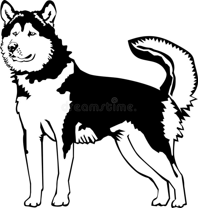 Alaskan Malamute Drawing Stock Illustrations – 1,633 Alaskan Malamute ...
