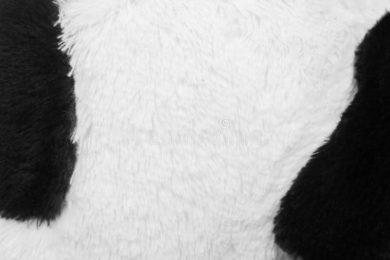 Red panda abstract 2 stock photo. Image of csaba, black - 80759722