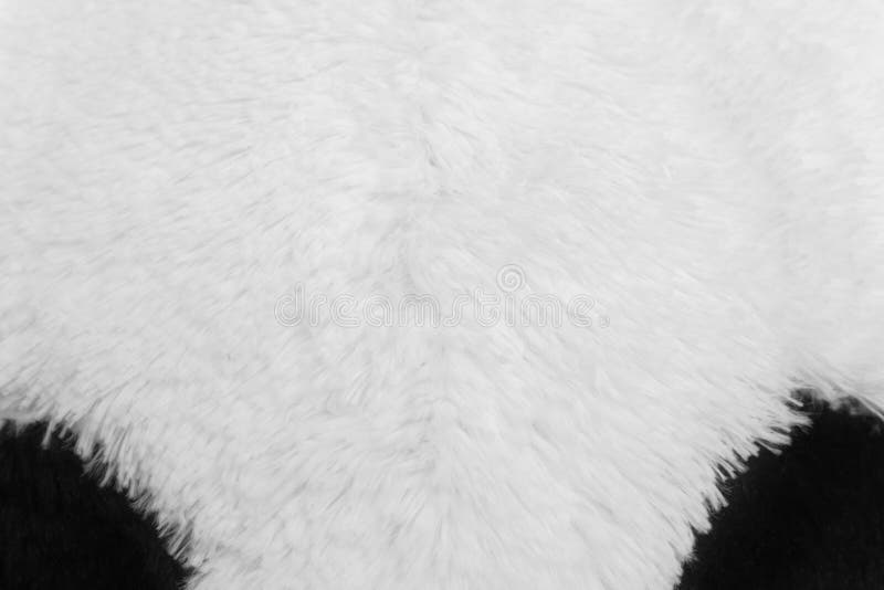 Panda Texture