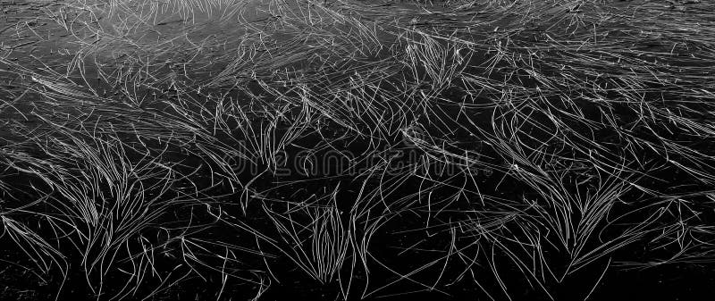 Black and White Water Texture. Background for Design Stock Photo ...