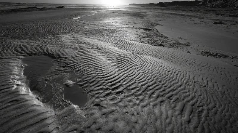 Black and White Beach Sand Texture at Sunset Stock Illustration ...