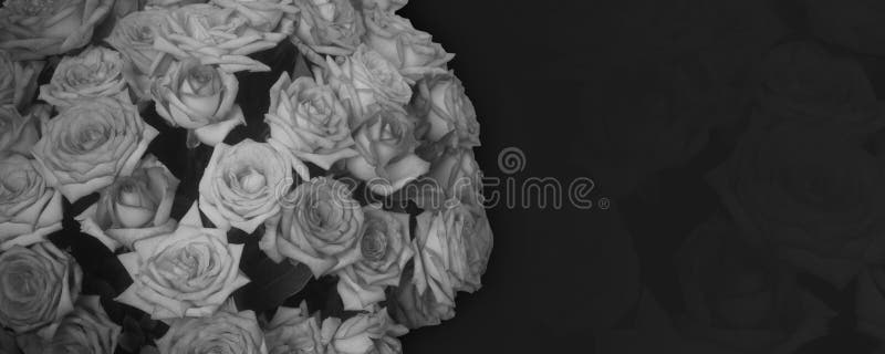 Black And White Roses Facebook Cover