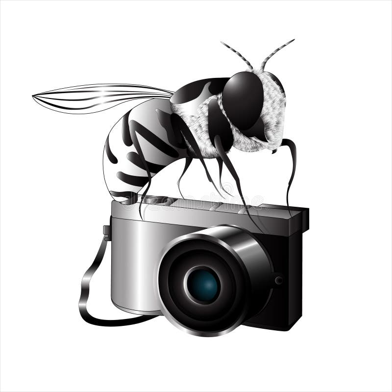 Black White Bee on the Camera. Stock Vector - Illustration of eyes ...