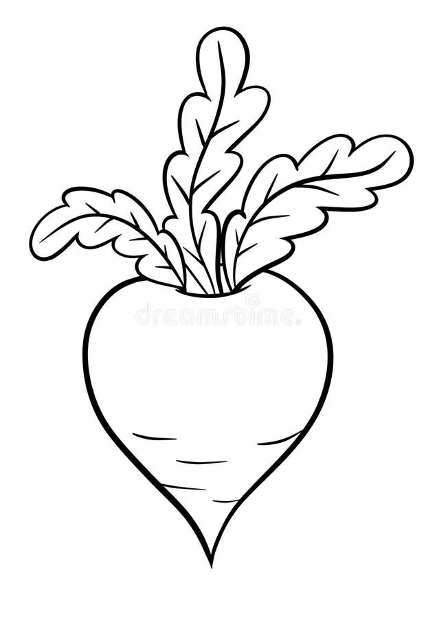 Black and White Beetroot Outline for Coloring and Vegetable Art Stock ...