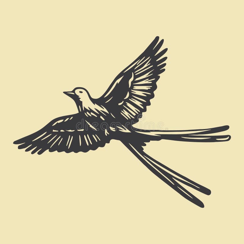 Black and White Bird Vector Stock Vector - Illustration of animal ...