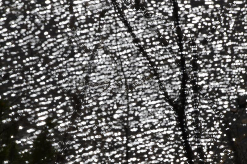 1,148 Black Round Glare Stock Photos - Free & Royalty-Free Stock Photos ...