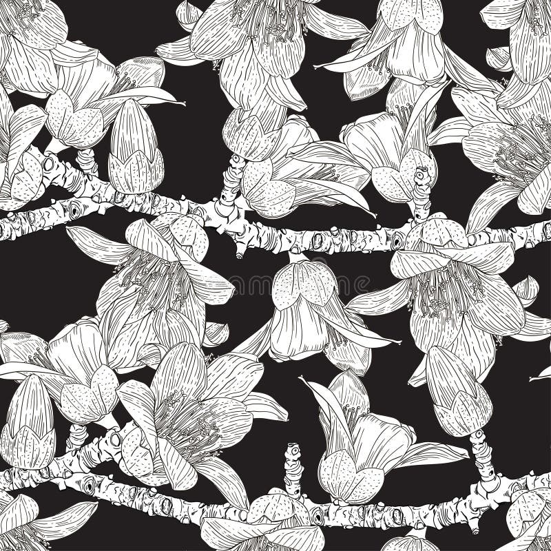 Black and White Bombax Ceiba Flowers Pattern Stock Vector ...