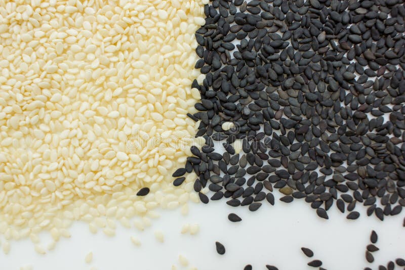 Black and White Border of Sesame Stock Photo - Image of lined, eating ...