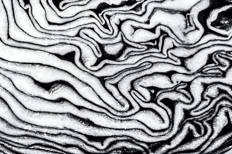 Brain like surface design stock image. Image of design - 1845033