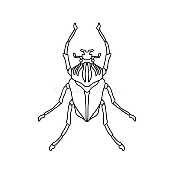 Bug Outline Stock Illustrations – 35,671 Bug Outline Stock ...