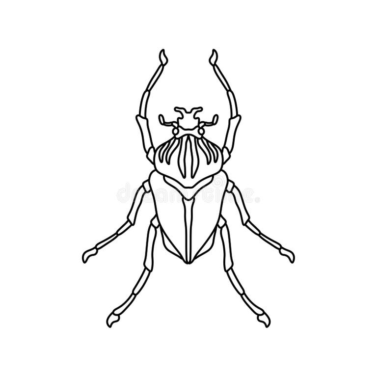 Black and White Bug Outline Vector Illustration Stock Vector ...