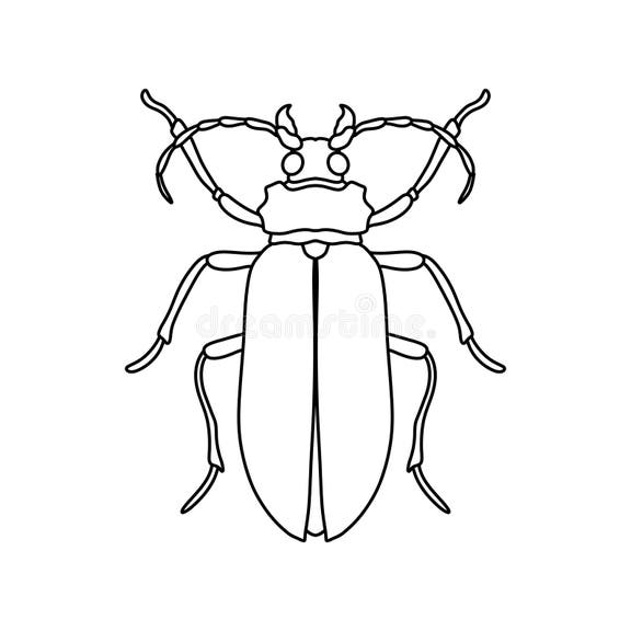 Black and White Bug Outline Vector Illustration Stock Vector ...