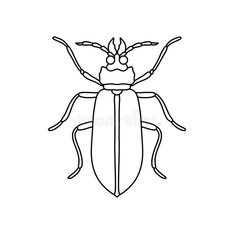 Black and White Bug Outline Vector Illustration Stock Vector ...