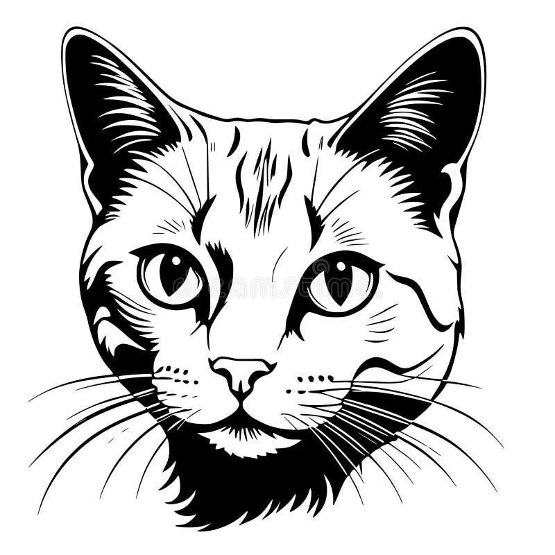 Black and White Cat. Illustration Stock Illustration - Illustration of ...