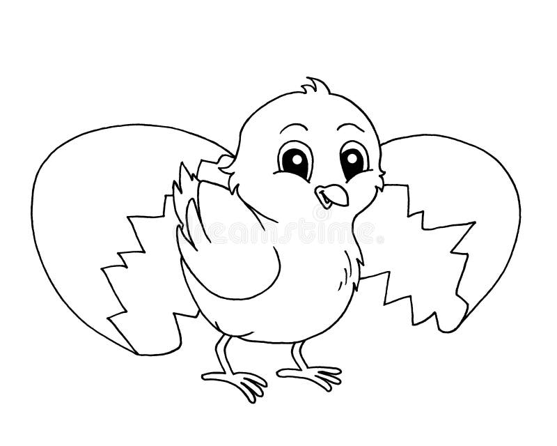Black and white - Chick stock illustration. Illustration of chick ...