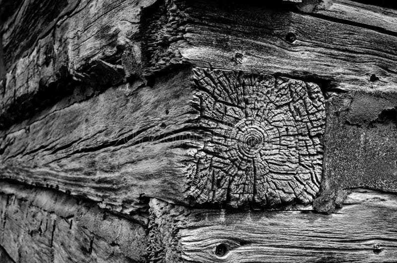 Black and White Close-up End View of Weathered Log Cabin Timbers Stock ...