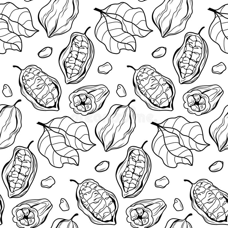 Black and White Cocoa Outline Pattern with Beans, Pods and Leaves Stock ...