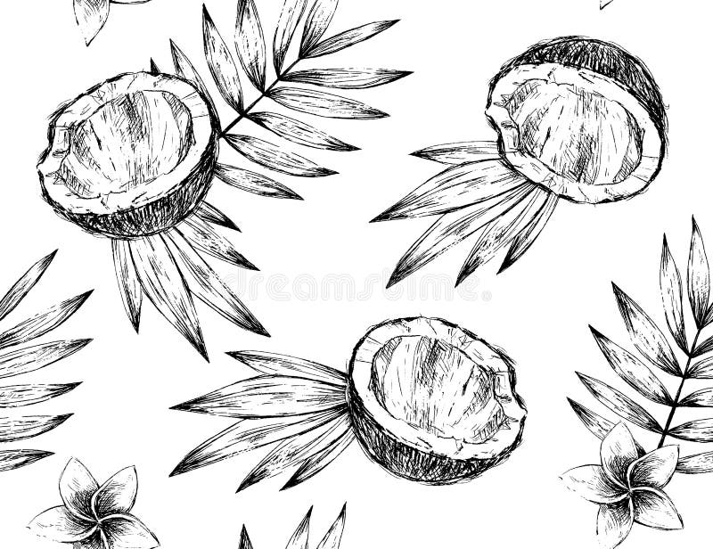 Coconut Oil Pattern Stock Illustrations – 848 Coconut Oil Pattern Stock ...
