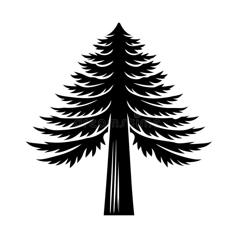 Black and White Conifer Tree Illustration, Evergreen Silhouette Stock ...