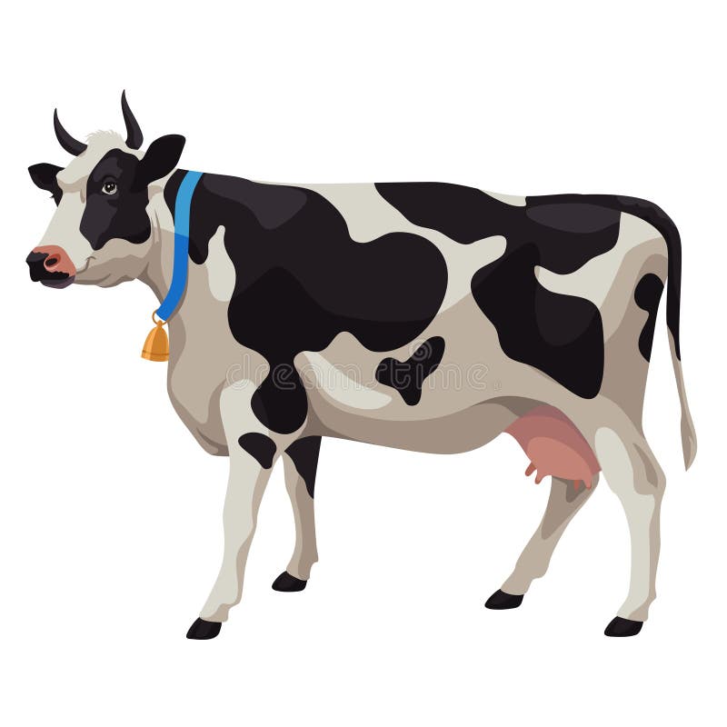 Black and White Cow, Side View, Isolated Stock Vector - Illustration of ...