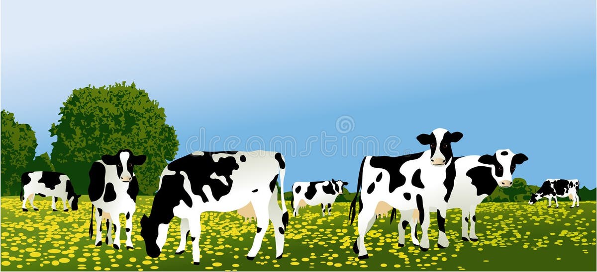 Herd Cows Stock Illustrations – 7,035 Herd Cows Stock Illustrations ...
