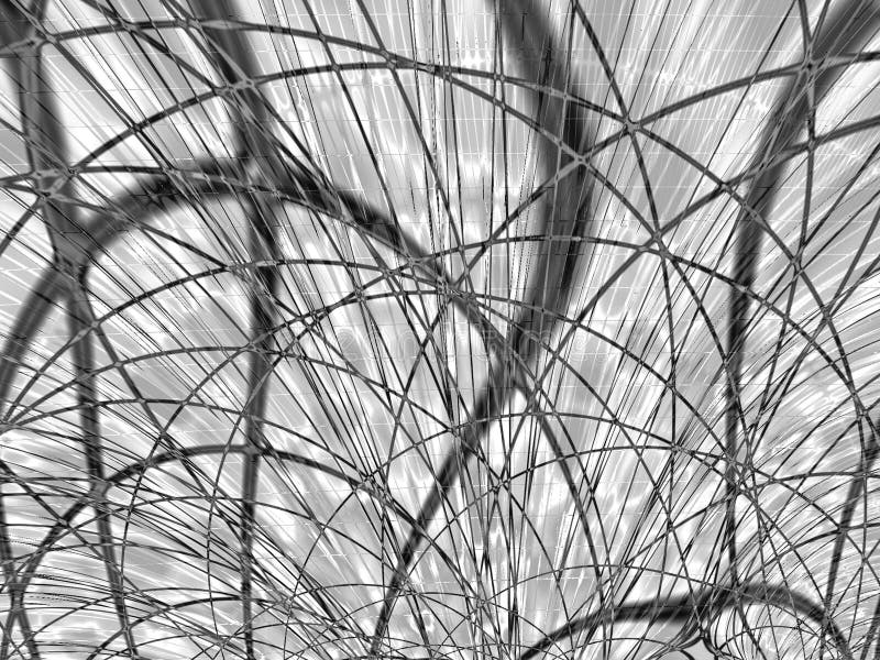 Curved Lines Photography