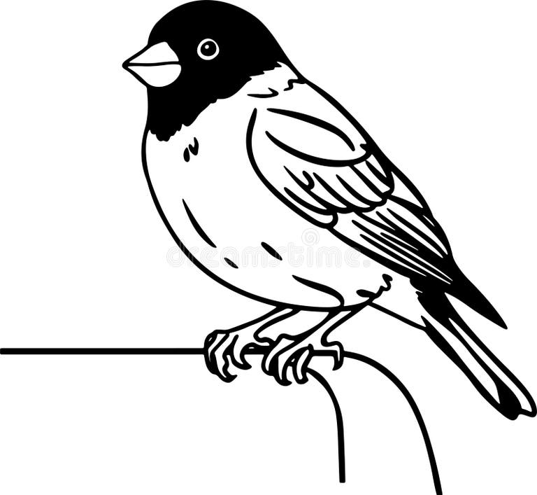 Bird Feeder Line Drawing Stock Illustrations – 172 Bird Feeder Line ...