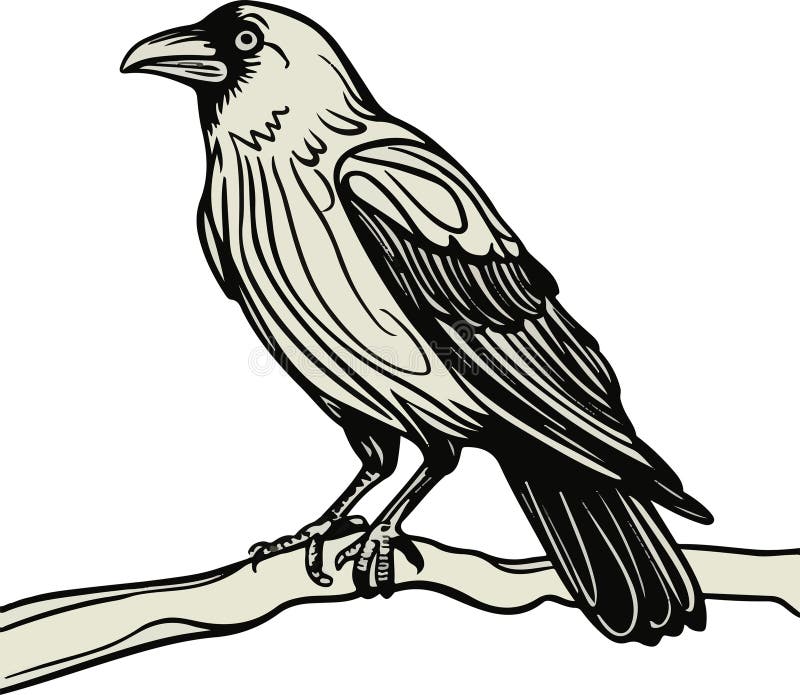 Black and White Drawing of a Crow Perched on a Branch Stock Vector ...