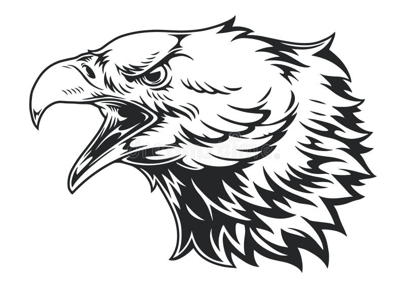 Detailed Eagle Head Design with Fierce Expression Stock Illustration ...