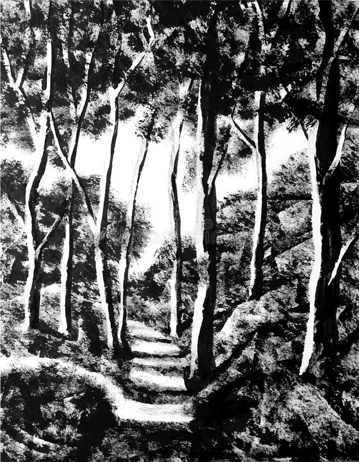 Sunny Forest with a Forest Path. Illustration, an Ink Graphic Drawing ...