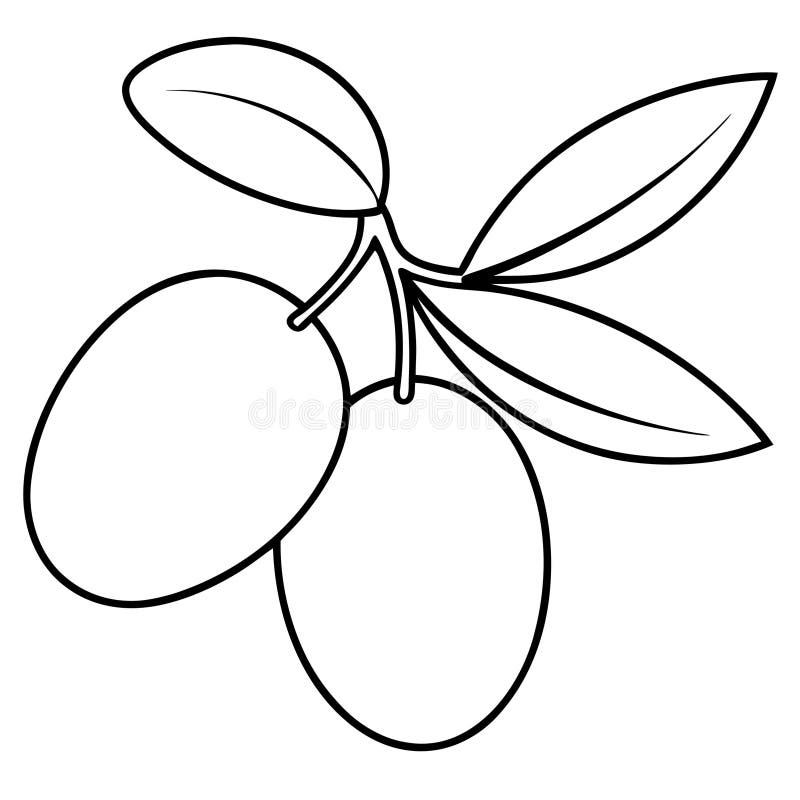 A Black and White Drawing of an Olive Tree with Two Olives on it Stock ...