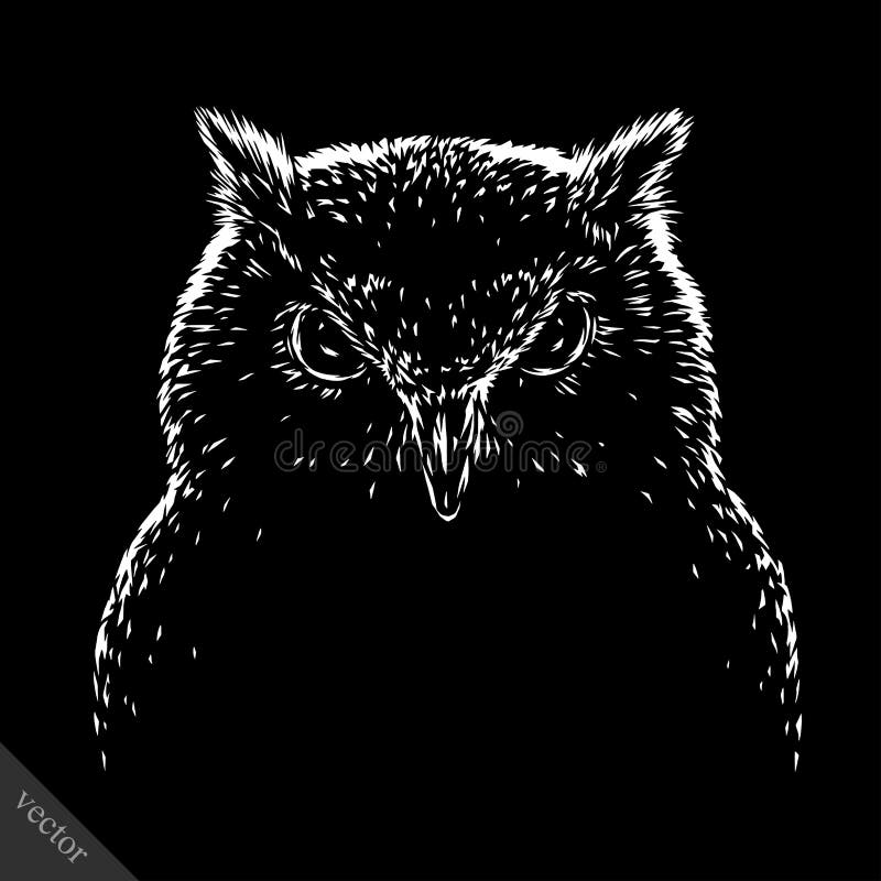 Black and White Engrave Evil Vector Owl Bird Stock Vector ...