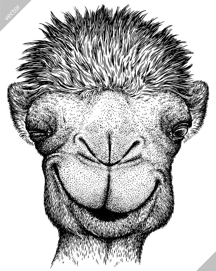 Ink Sketch Camel Stock Illustrations – 197 Ink Sketch Camel Stock ...