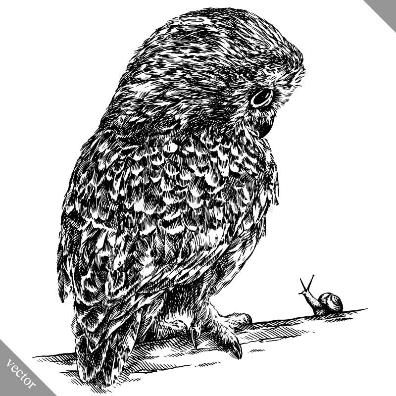 Black and White Engrave Isolated Owl Vector Illustration Stock Vector ...