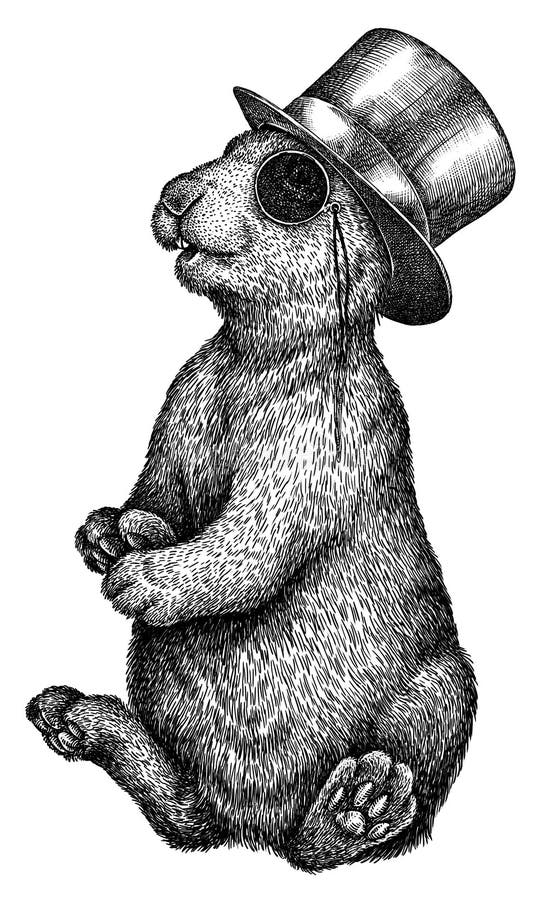 Isolated Rabbit Cartoon Design Stock Vector - Illustration of rabbit ...