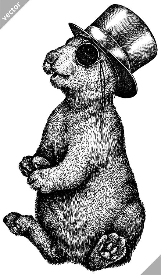 Rabbit Etching Stock Illustrations – 472 Rabbit Etching Stock ...