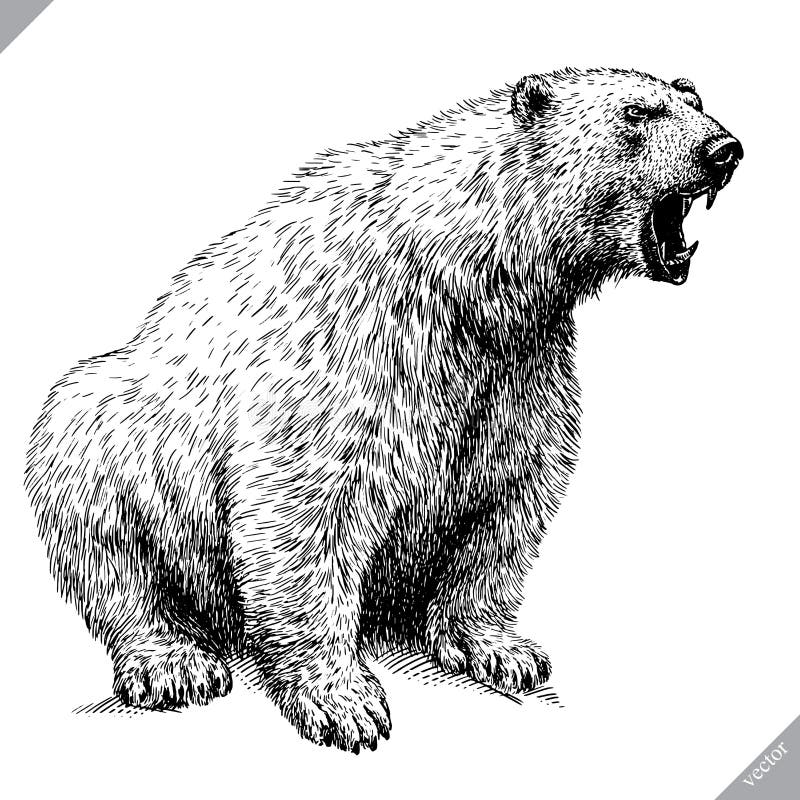 Tundra Graphic Black White Landscape Sketch Illustration Vector Stock ...