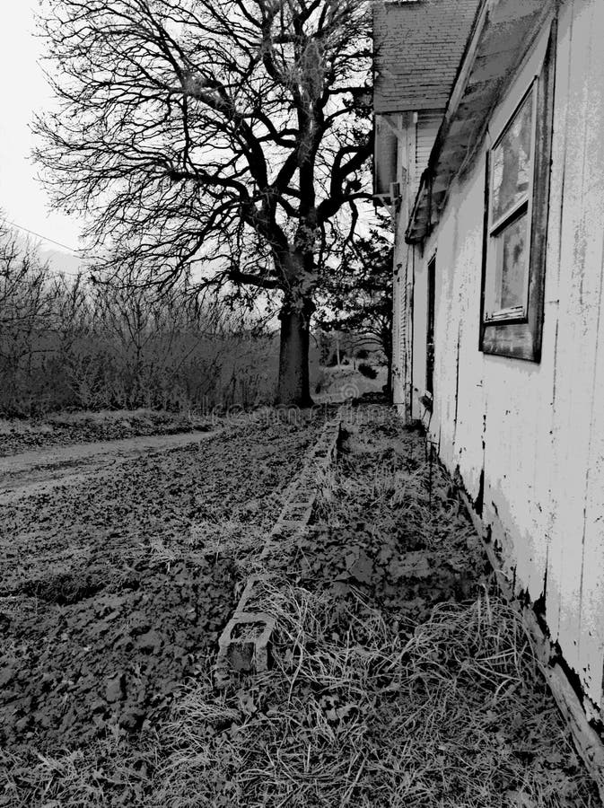 Black and White fall stock image. Image of white, fall - 168015183