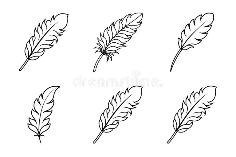 Black and White Feather Line Art Set with Six Unique Feather Designs ...