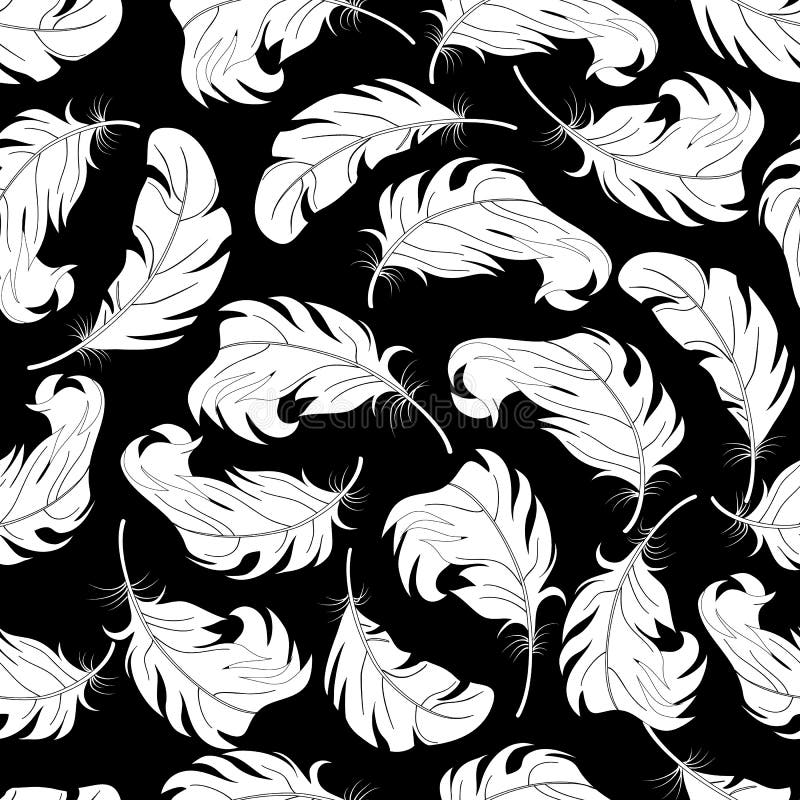 Black and White Feather Pattern. Stock Vector - Illustration of element ...