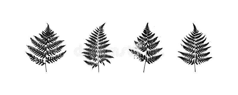 Fern Leaf Icon Stock Illustrations – 6,216 Fern Leaf Icon Stock ...