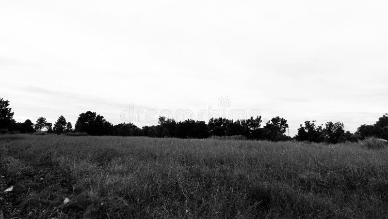 Black and white field stock photo. Image of morning - 207101090